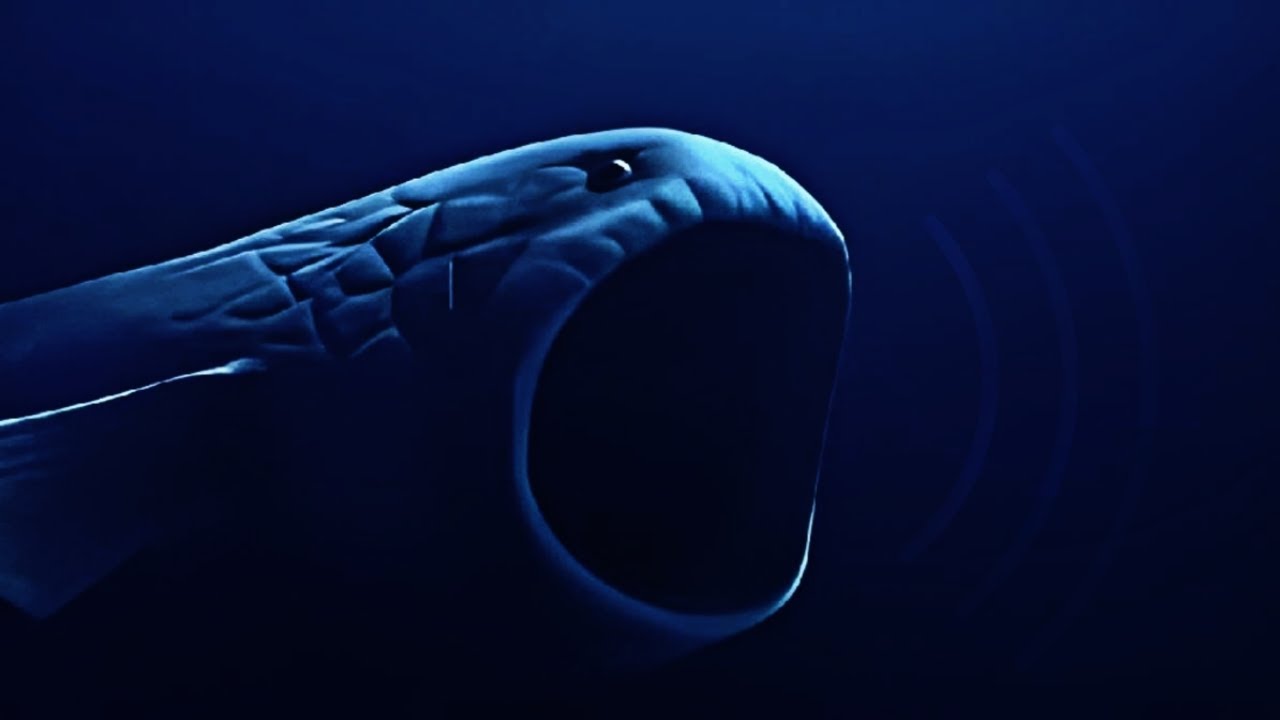 Top 10 Terrifying Sounds from the Deep Sea Caught On Tape - YouTube
