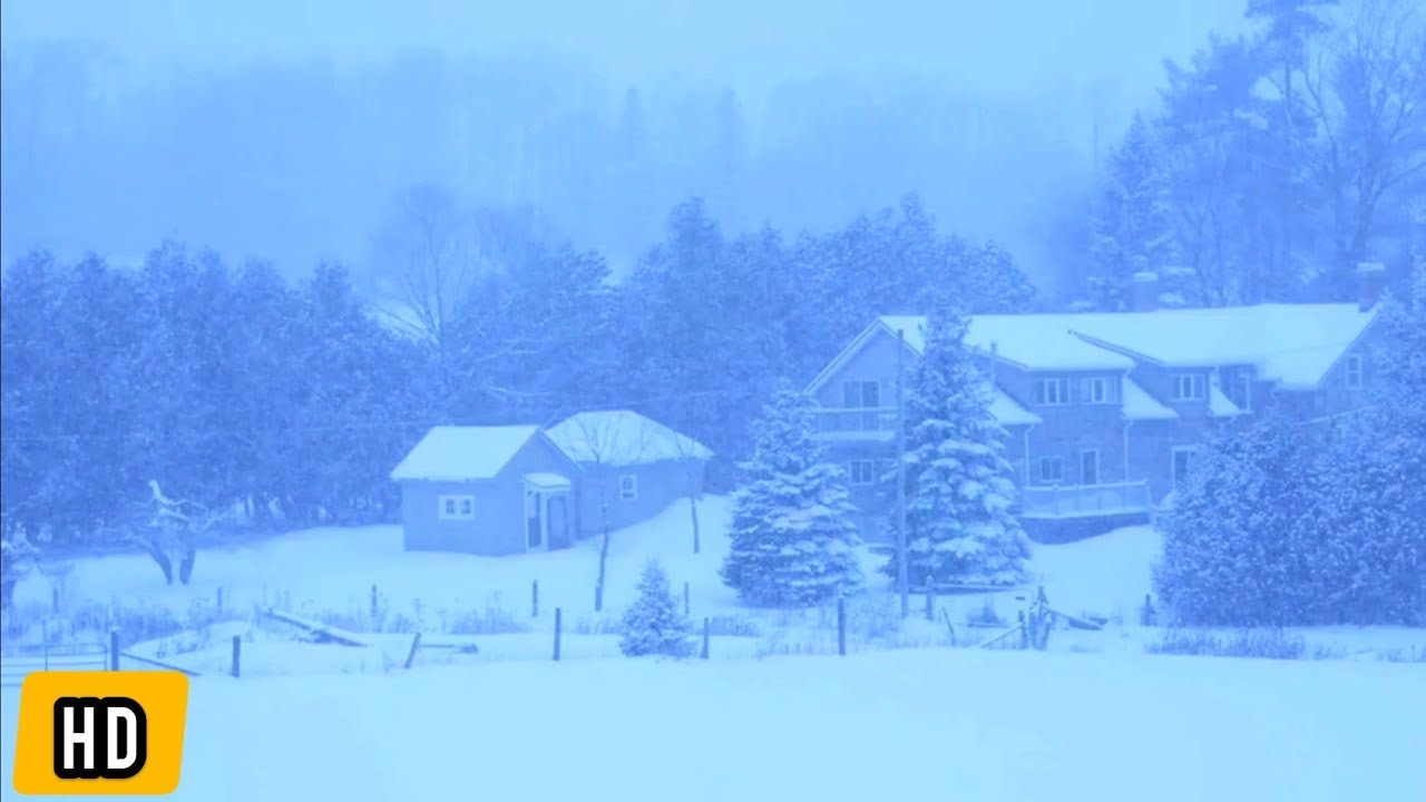 Relaxing Howling Wind Sounds 6 Hours | Sleeping or Studying | White ...