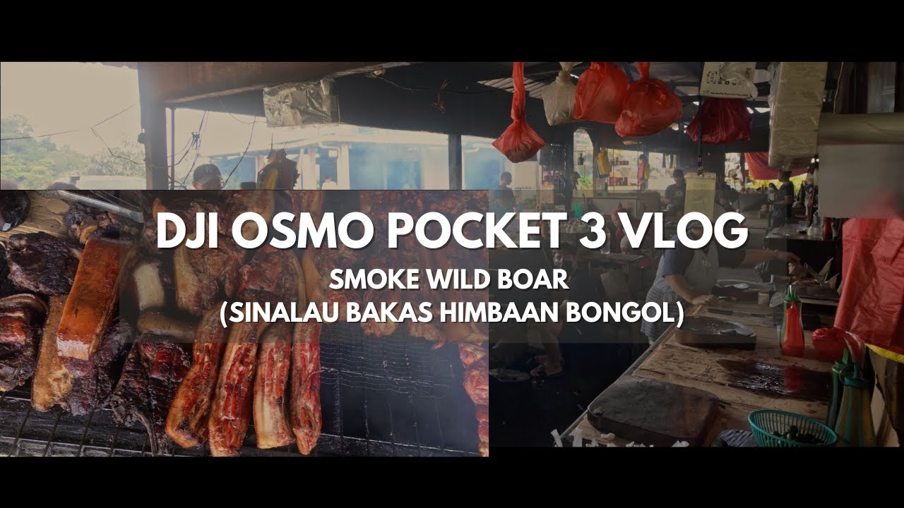 DJI OSMO POCKET 3 CINEMATIC VLOG | SMOKE WILD BOAR - YouTube