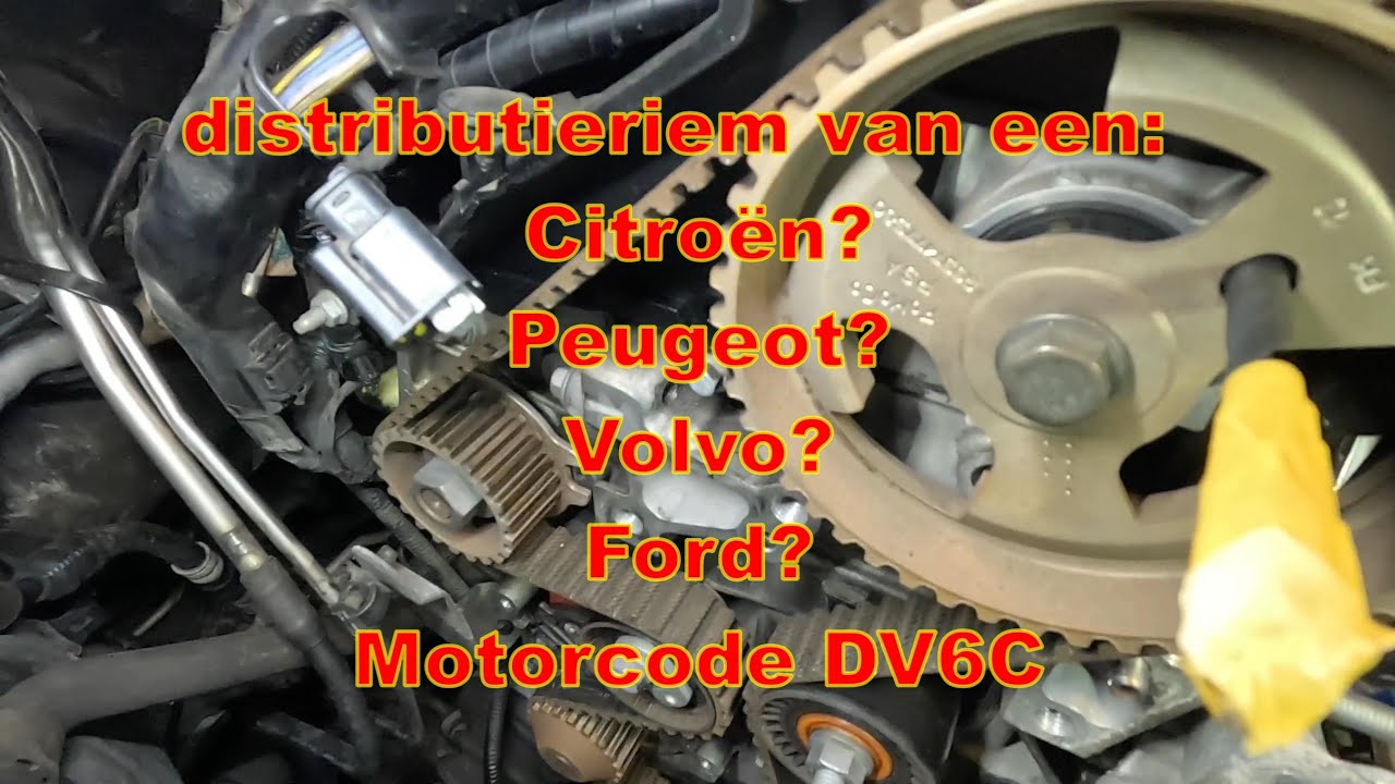 DV6C motor, Distributieriem vervangen!! - YouTube