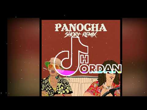 Jon Z Ale A El Dominicano - PANOCHA REMIX