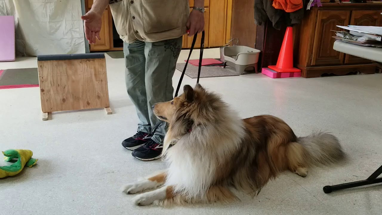 WALKER clean & precise work - YouTube