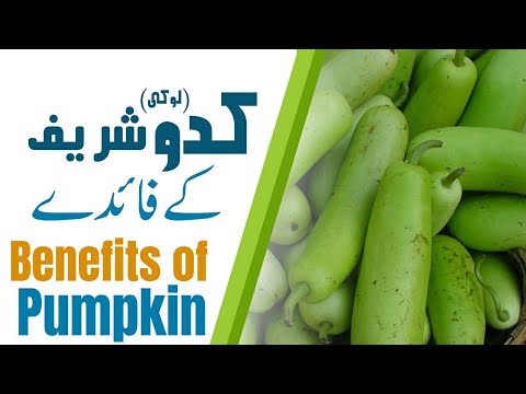 Pumpkin Benefits in Urdu | Lauki Ke Fawaid | Kaddo ke Fayde | Usman ...