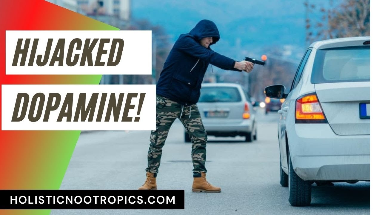 How Dopamine Gets Hijacked By Gut Bacteria - YouTube