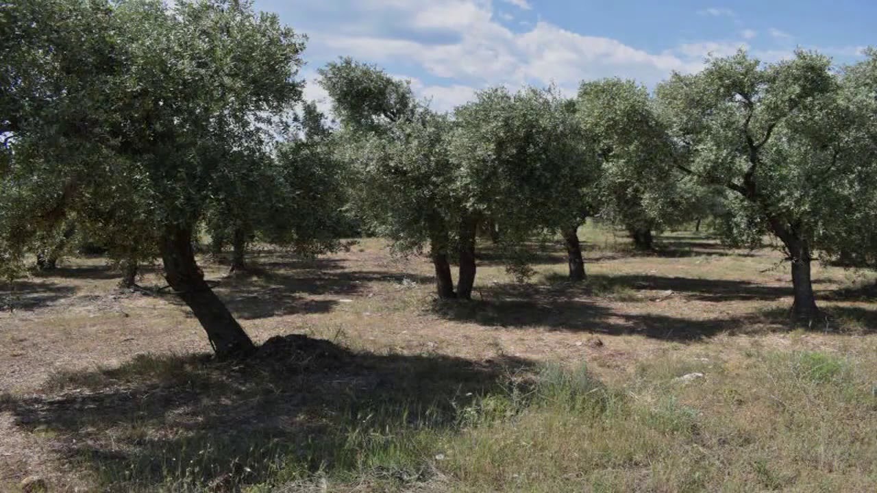Σκάλα Ραχωνίου Θάσος Πωλείται Οικόπεδο 1570 τ.μ - YouTube