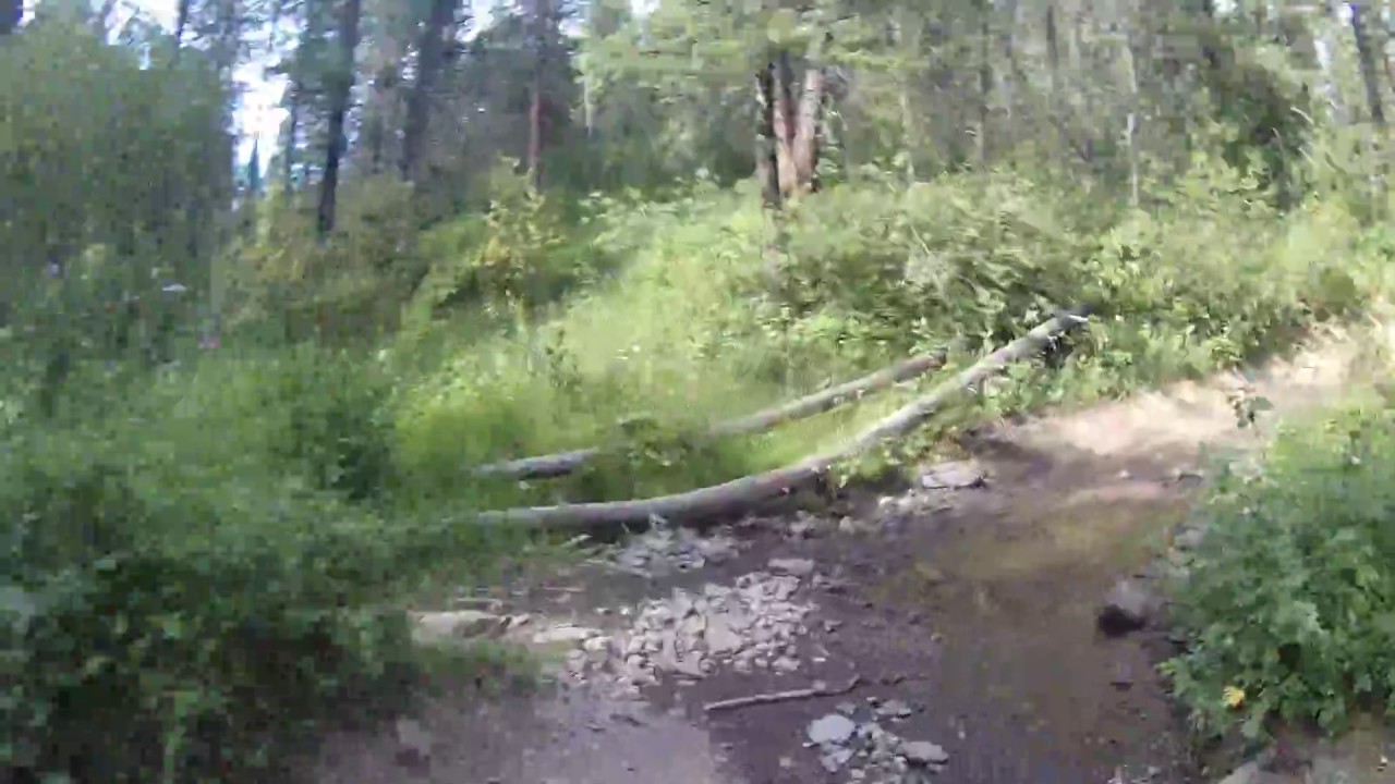 Top part of the Wolverine Trail on7/14/18 - YouTube