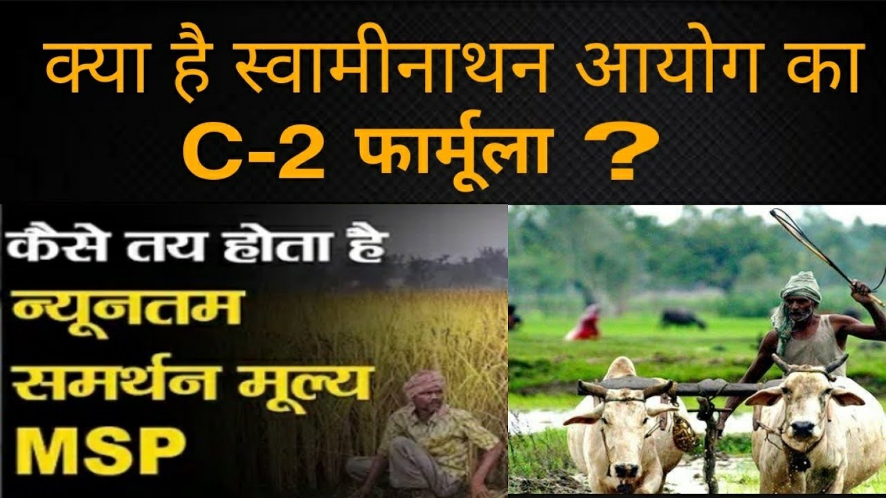 Basis Of Minimum Support Price/C-2 formula of MSP/How MSP is calculated ...