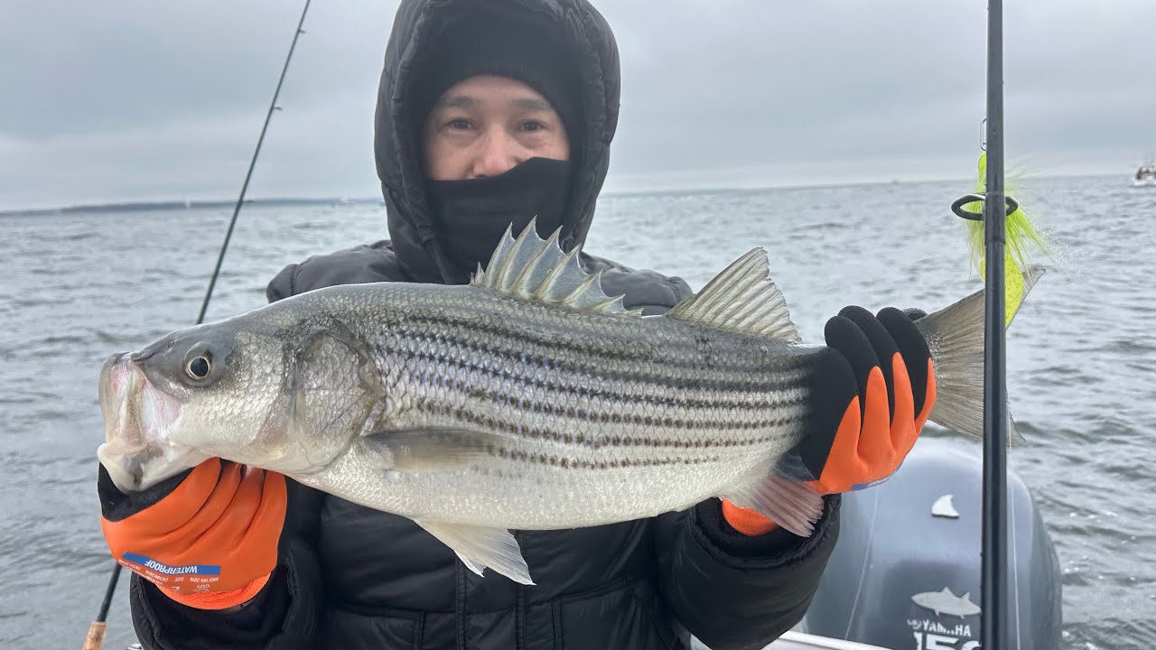 Chesapeake Bay Winter fishing for Rockfish - YouTube