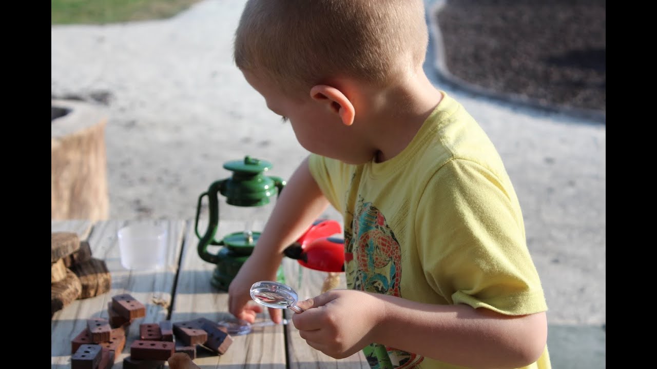 Becoming A Trained Observer - YouTube