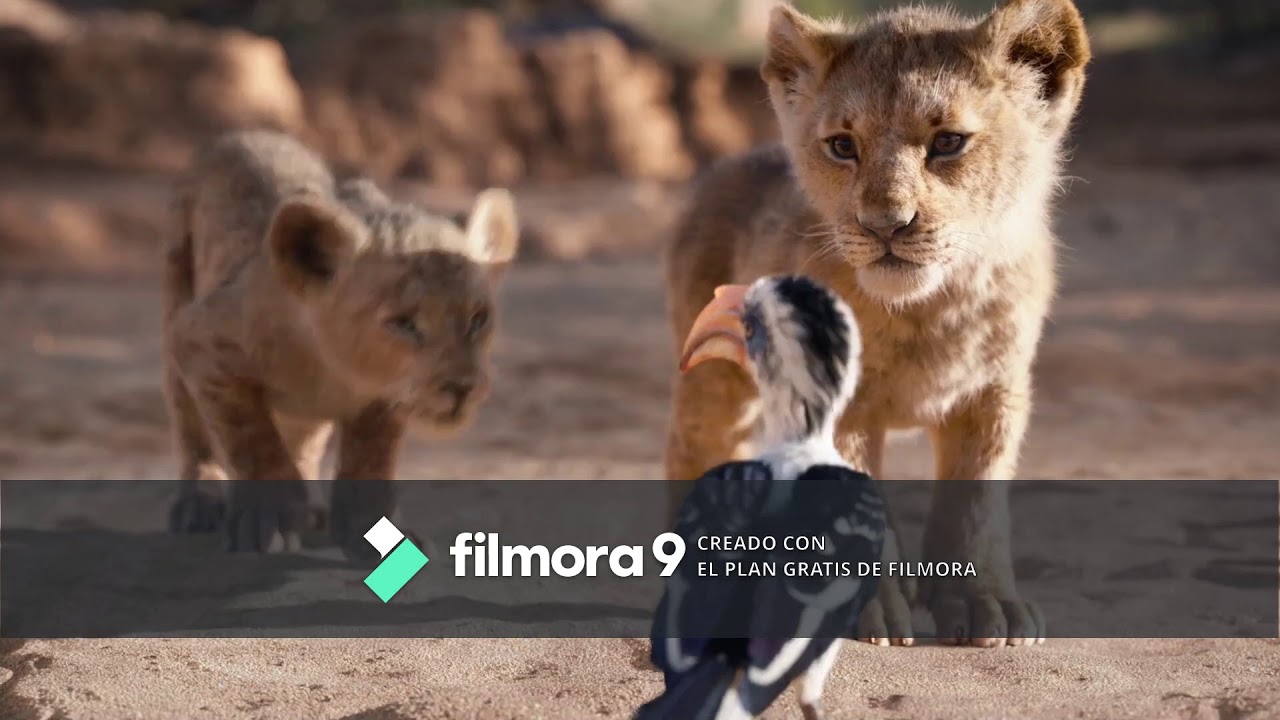 El Rey León Latino 2019 - Yo Quisiera Ya Ser El Rey - YouTube