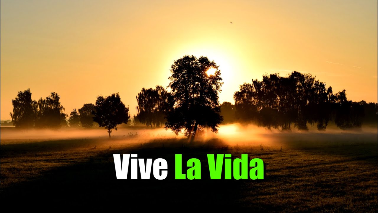 Vive la vida, Disfruta y Olvida Lo Que Piense El Resto ¦ Reflexión ...