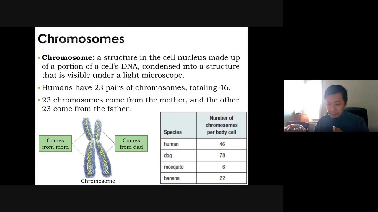 Science 10 SNC2D Genetics - YouTube