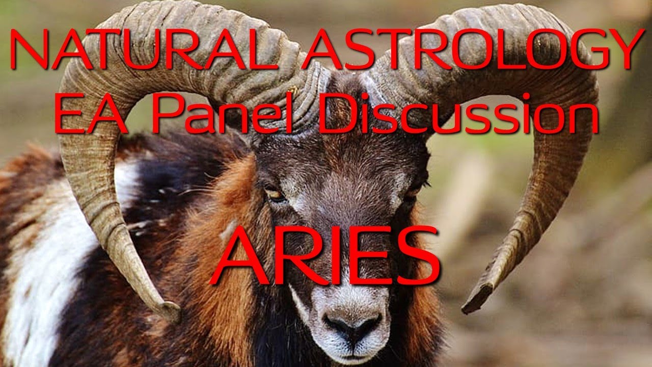 NATURAL ASTROLOGY - EA Panel Discussion - ARIES - YouTube