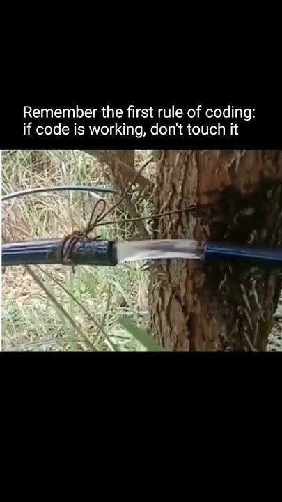 🥲🥲 Coding Coderslife Programming Developer Shorts Developercommunity Coderlife Facts