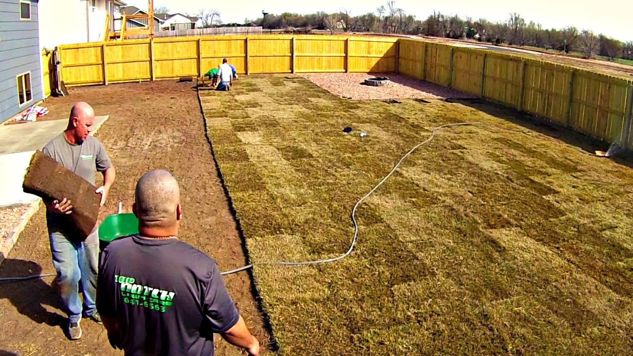 Sod Job with Grass Monkey, I Messed Up Trimming Juniper Bush - YouTube