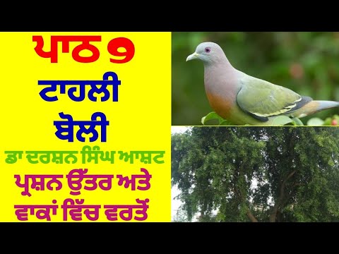 CLASS 7 | LESSON 9 | PUNJABI | ਟਾਹਲੀ ਬੋਲੀ | टाहली बोली | हरियाणा बोर्ड ...