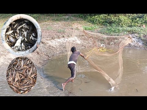 Net fishing ll Amazing jaki jal Fishing | Village Fishing ll wow ...