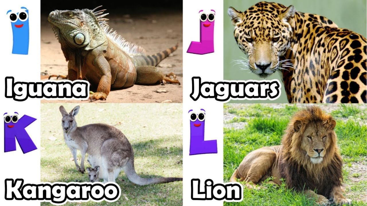 ABC Pet Animals Song | Fun way to learn English and Animals for Kids ...