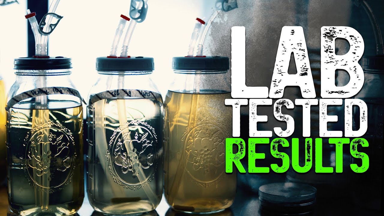 The Best Liquid Culture Recipe? Testing Honey vs. Lab-Grade Broths for ...