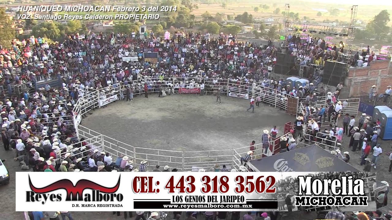 TORO "SOÑADOR" de Rancho REYES MALBORO en Huaniqueo Michoacan FEBRERO 3 ...