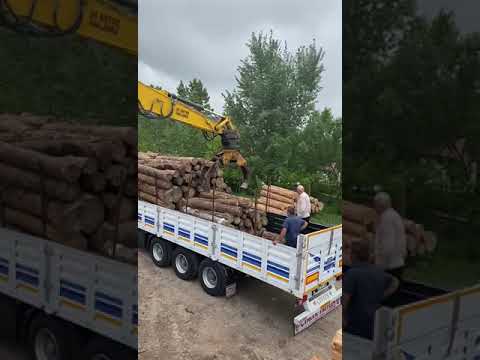 Tomruk Yükleme Sumitomo - Mikron Hidrolik