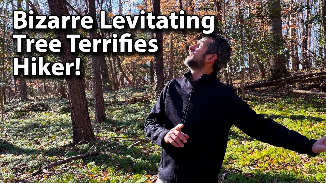 Bizarre Levitating Tree Terrifies Hiker! - YouTube