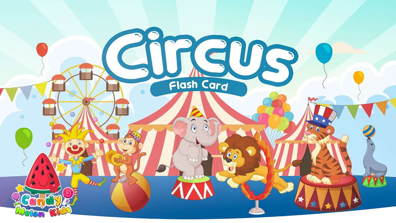 Circus Flash Cards Video Flash Cards Learn to Talk Vocabulary in ...