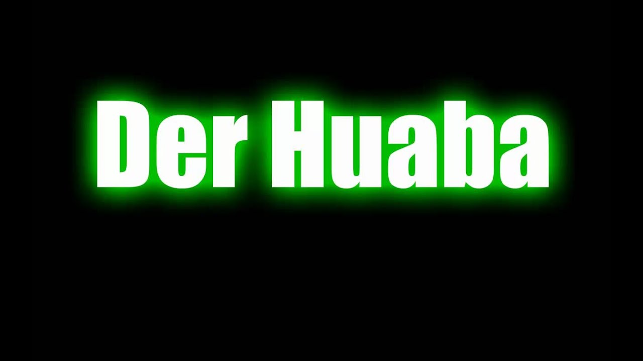 Hans Söllner - Der Huaba [HD] - YouTube