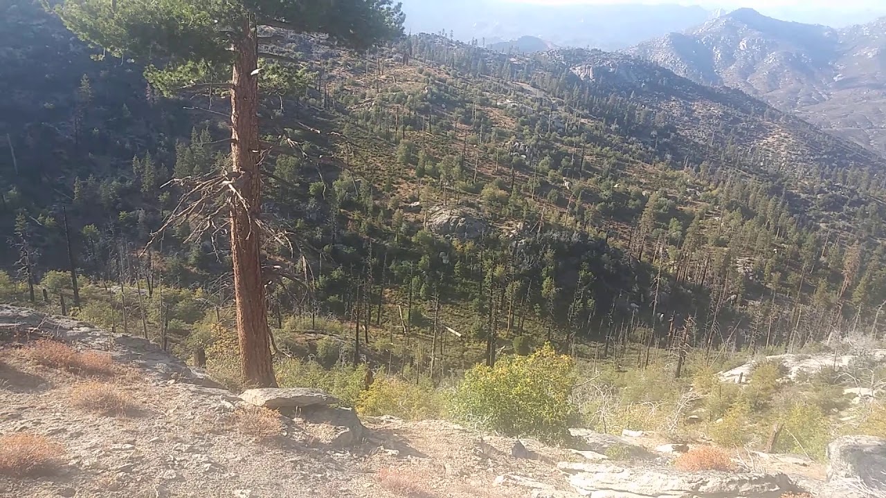 D8 Deer hunting 2019 - YouTube