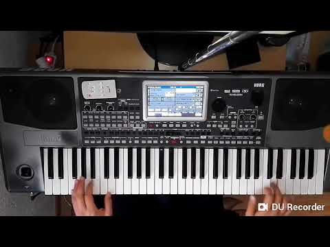 KORG Pa900 Mix