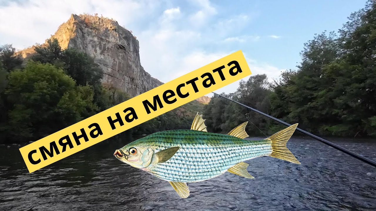 СЛЕД АРДА ДОЙДЕ РЕД И НА... - YouTube