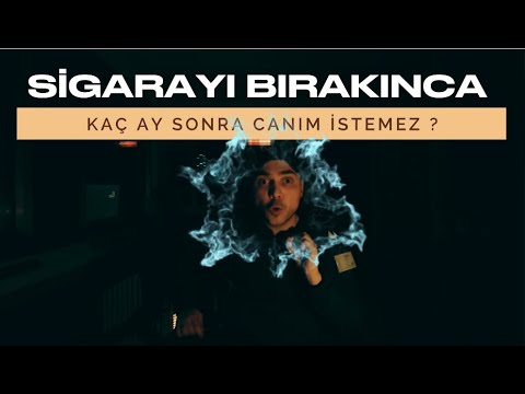 Sigara Bırakmak İsteyenler İçin Gerçekçi Bir Rehber ! Kaç Ay Sonra Canım Artık Sigara İstemez ?