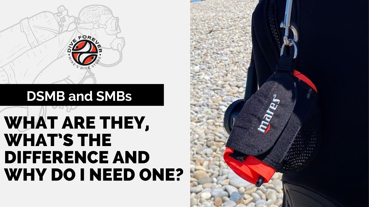 DSMB AND SMB: WHAT ARE THEY, WHAT'S THE DIFFERENCE AND WHY DO I NEED ...