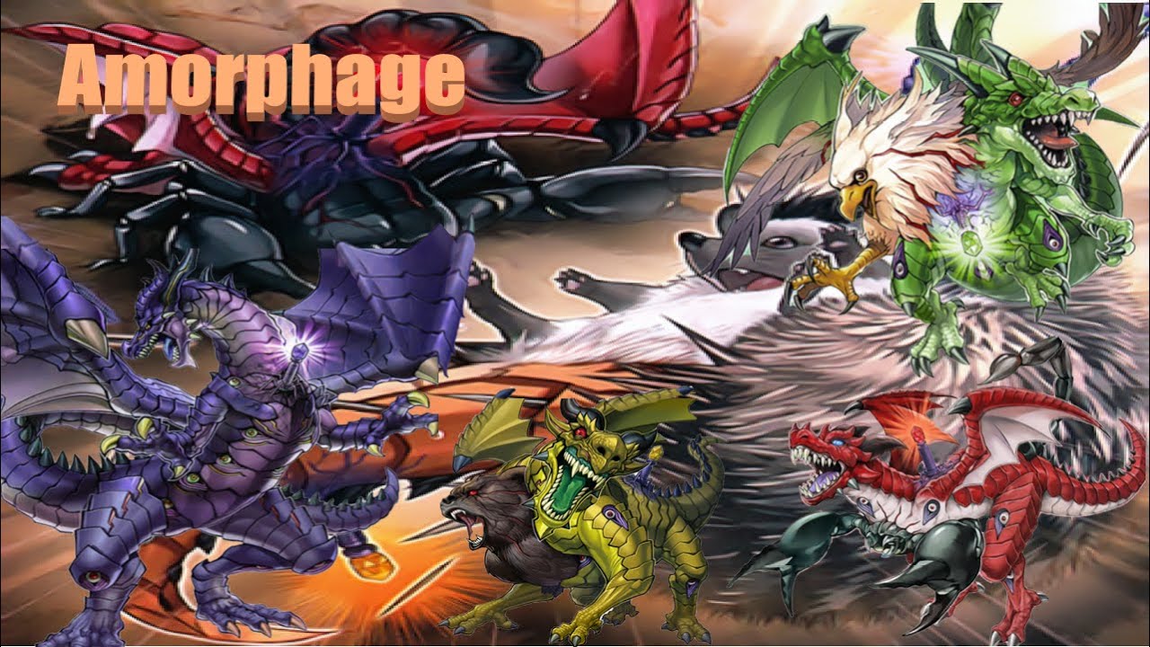 Yu-Gi-Oh Amorphage - YouTube