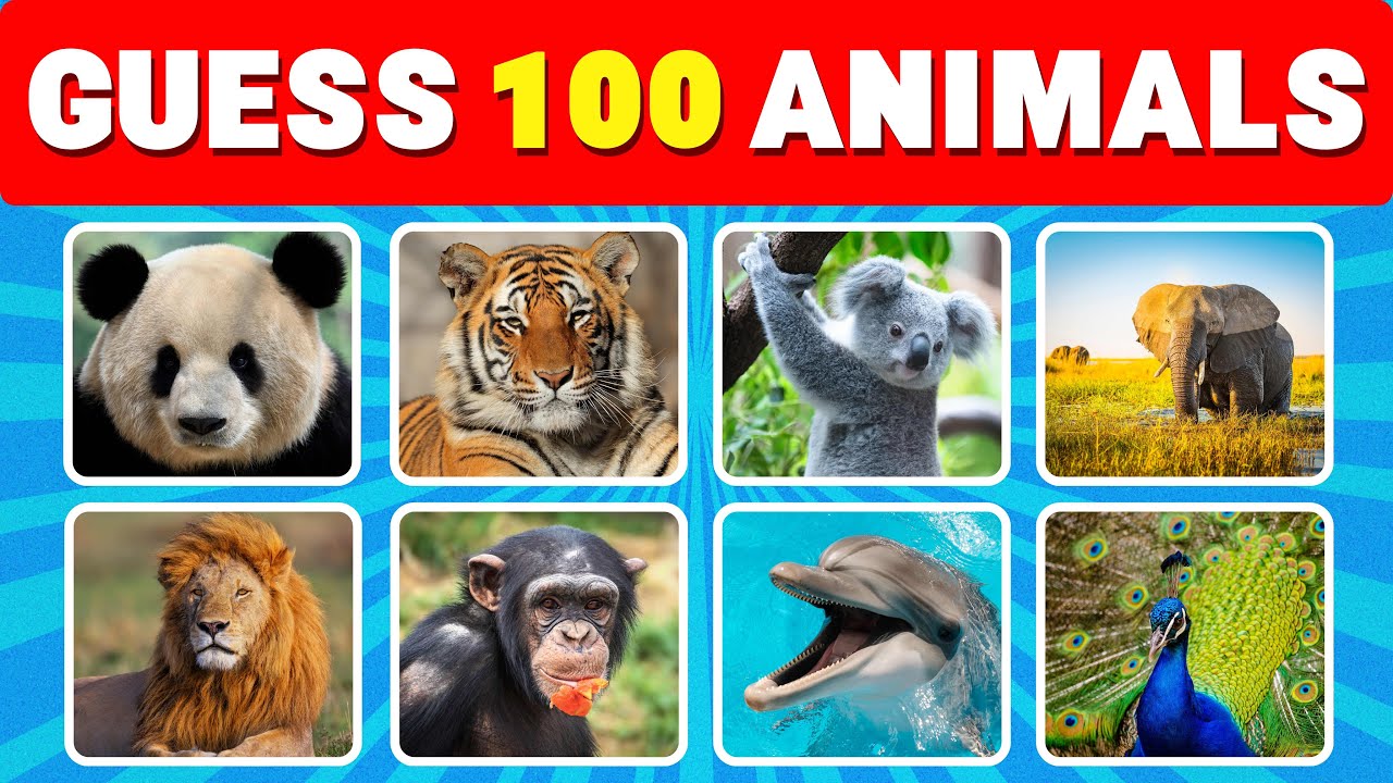 Guess 100 Animals in 4 Seconds | Easy, Medium, Hard, Impossible - YouTube