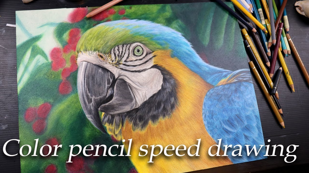 Working through a challenging piece - color pencil speed drawing - YouTube