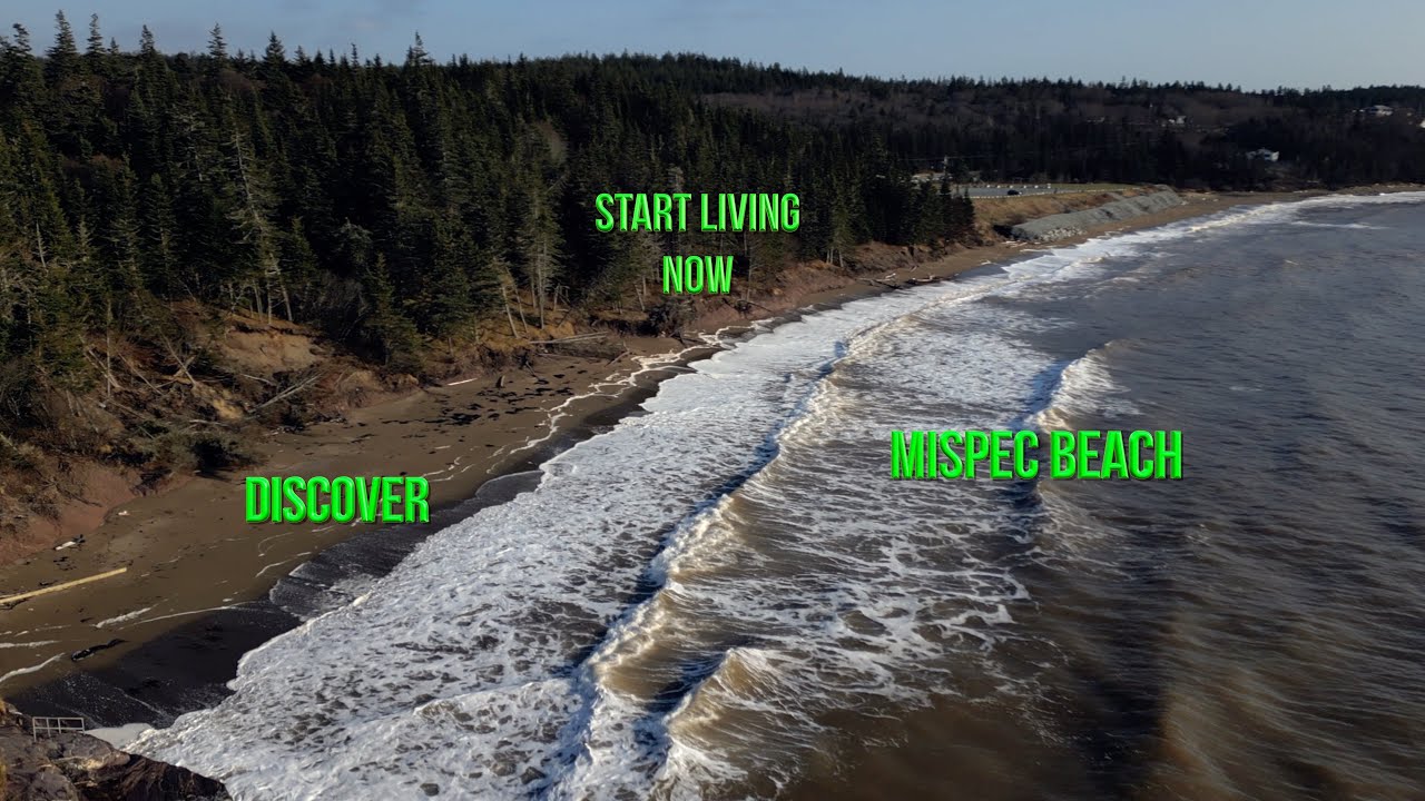 🏖️ Mispec Beach: A Sandy Paradise for Beachcombing & Adventure near ...