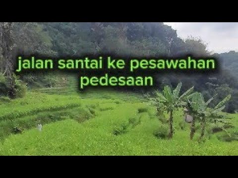 WALKING TOUR pesawahan | - YouTube