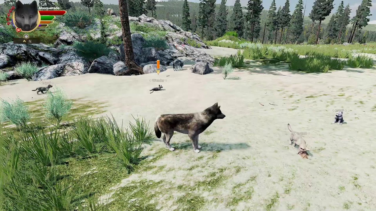 WolfQuest Livestream! - YouTube