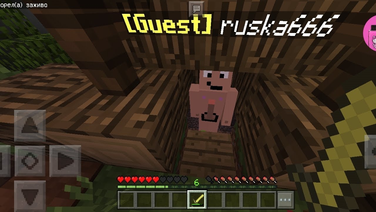 ЧТОООО КОМАНДА /sex есть на сервере Pentacraft Все В описание..... о сервере 💀 - YouTube