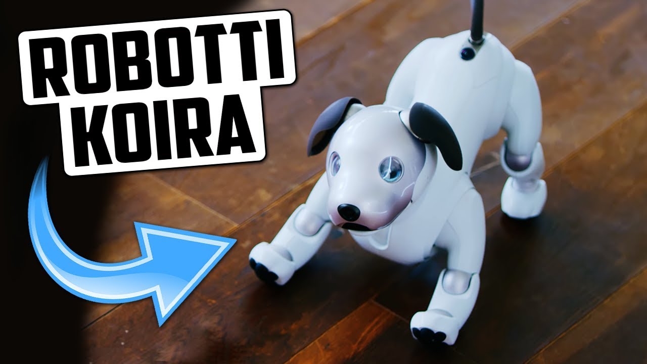 Sonyn Uusi Robottikoira? Viikkaava Robotti? | OUDOT KEKSINNÖT - YouTube