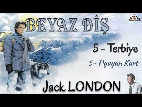 Jack London - Beyaz Diş  5-Terbiye  5 /5 (Sesli Kitap) SON
