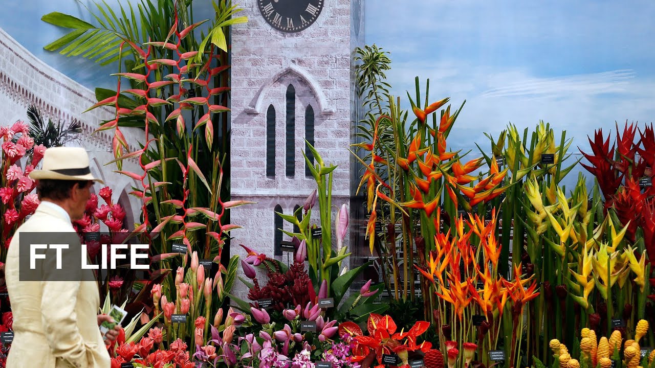 Chelsea Flower Show at 100 - YouTube