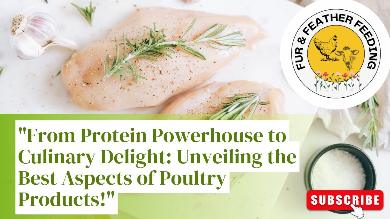 Protein Powerhouse to Culinary Delight: Unveiling the Best Aspects of ...