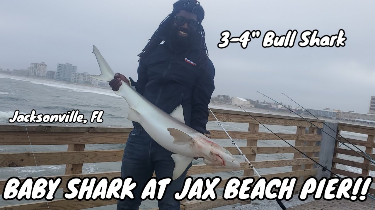JAX BEACH PIER SHARK FISHING - YouTube