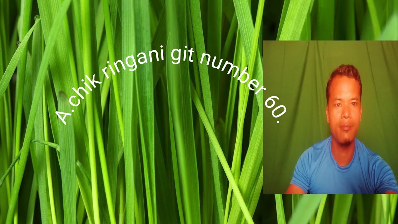 A.chik ringani git number 60. - YouTube