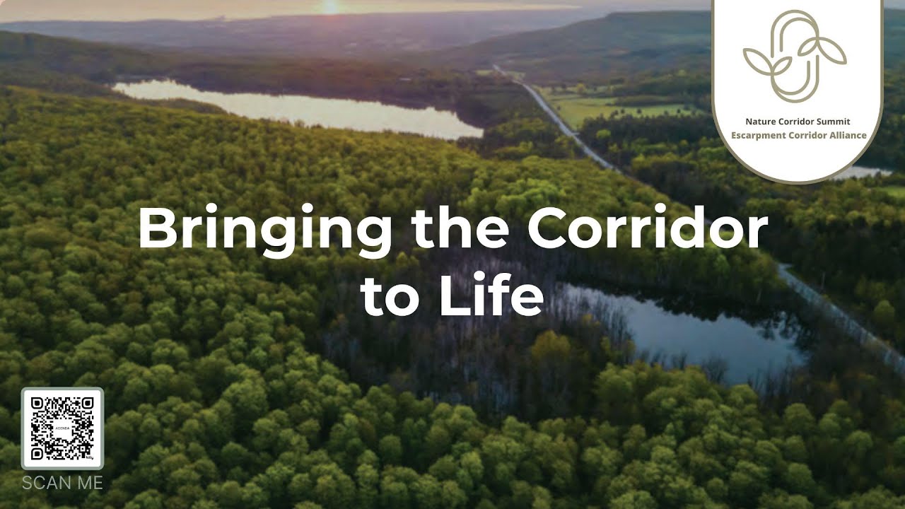 Panel 1: Bringing the Corridor to Life Slide Deck - YouTube