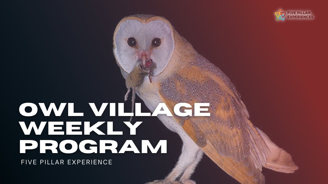Incredible Places in Bali 2023 - Secret Owl Village in Bali - YouTube