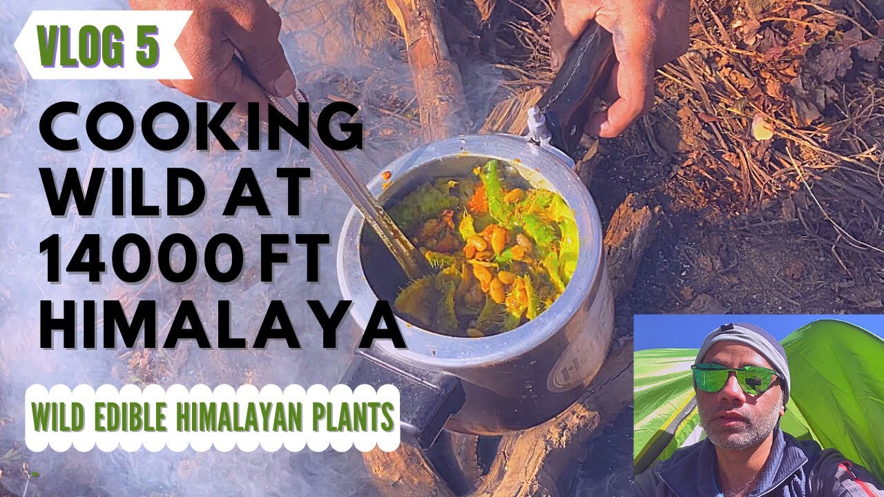 #HIMALAYANTRAVELTIPS - Cooking at 14000FT with Wild vegetables in ...