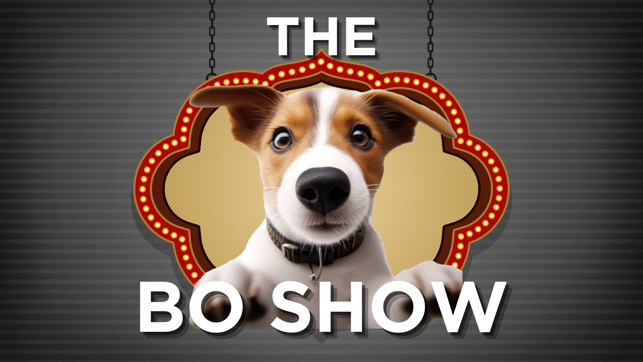 The Bo Show - Ep4 - Sheep Herding and Puppies on the way - YouTube
